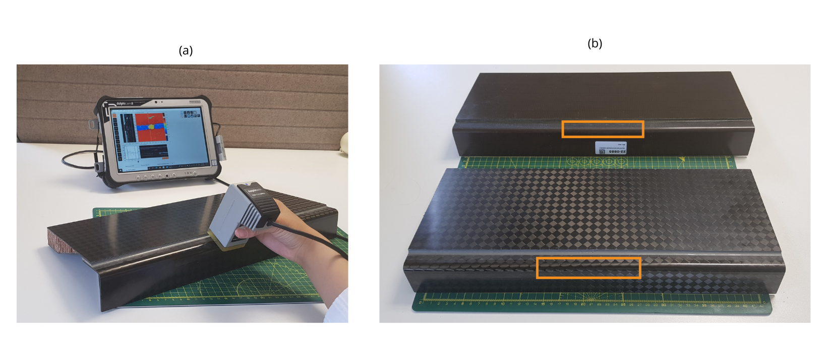 Inspection Of RADII - Dolphitech